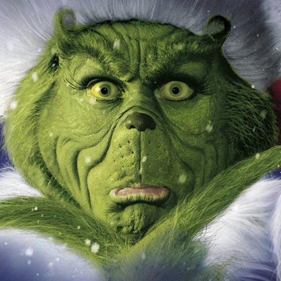 Grinch Costume - Make Your Own DIY Grinch Costume