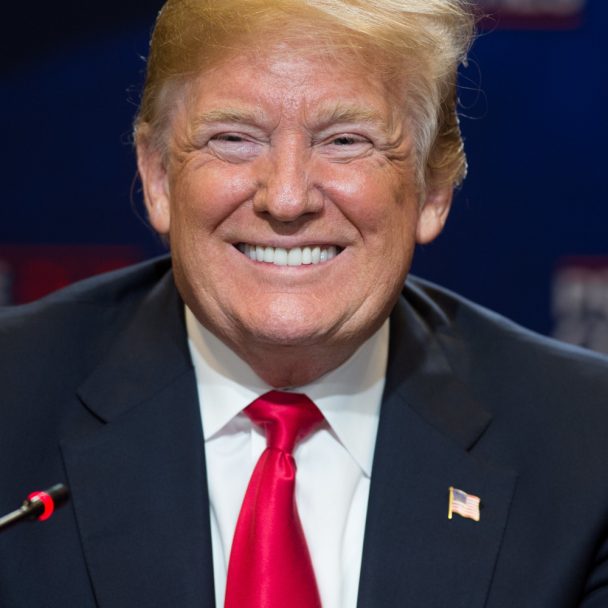 Donald Trump Costume - How to Dress Like Donald Trump