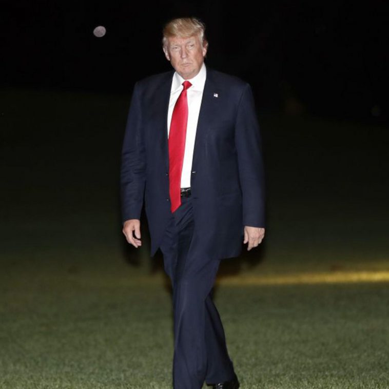 Donald Trump Costume - How to Dress Like Donald Trump